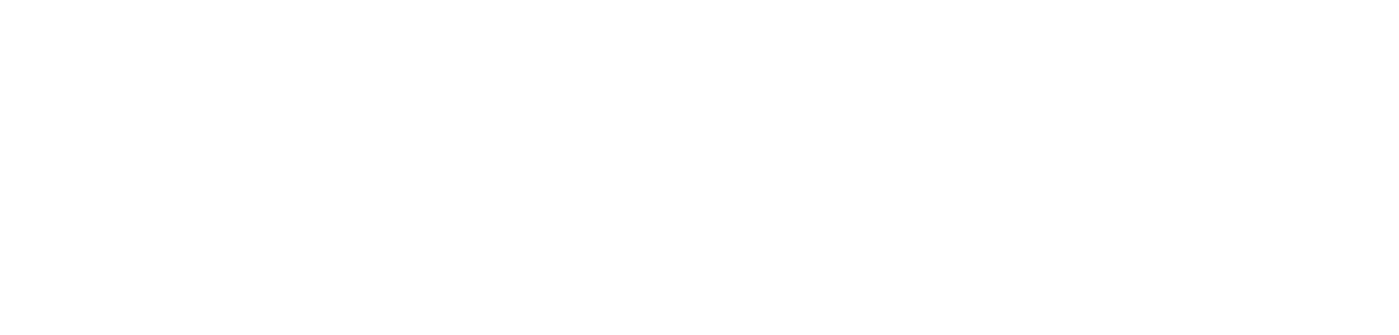 XESS - Power Without Compromise